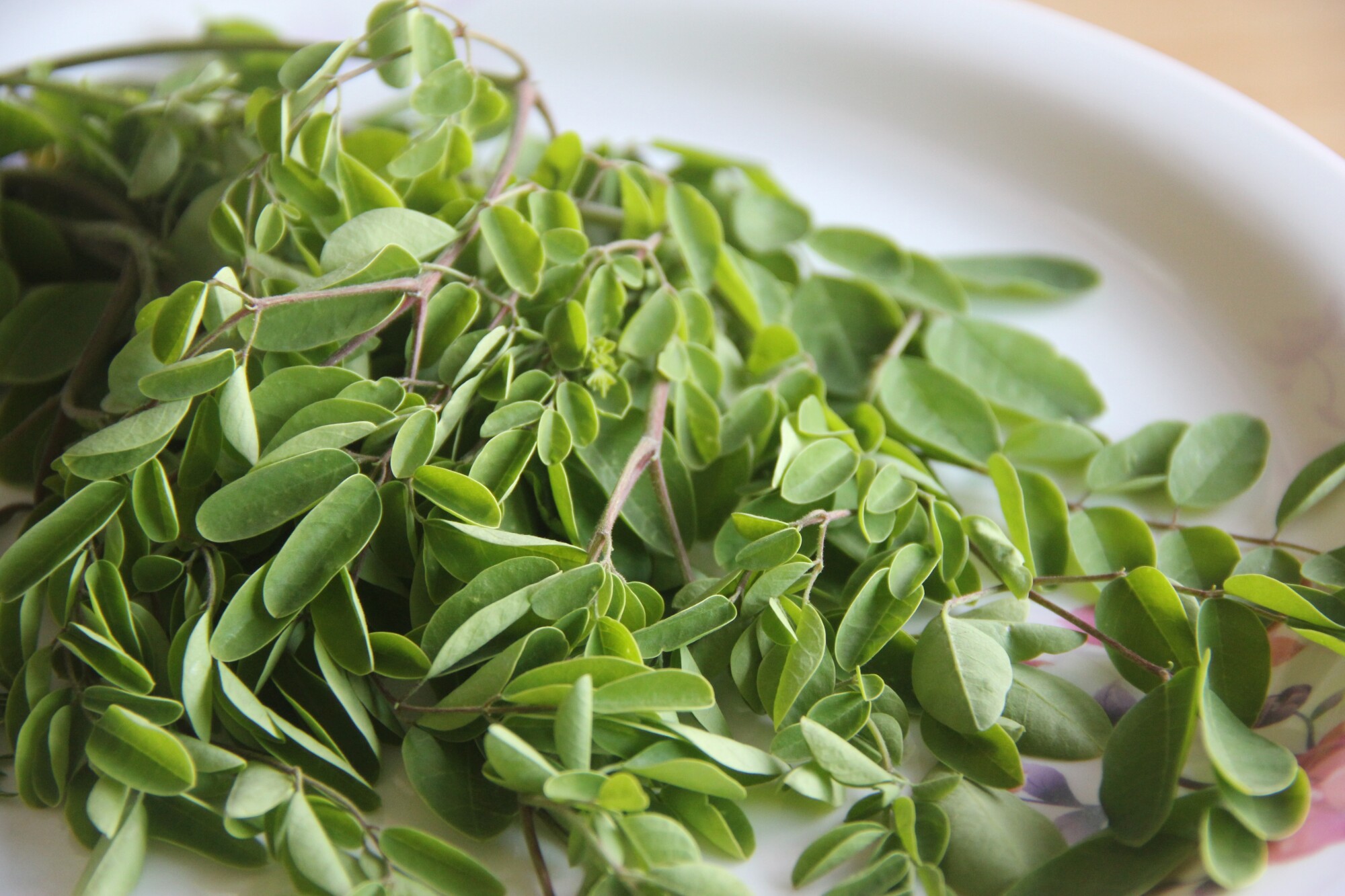 The Benefits of Drinking Moringa Tea - Pura Moringa